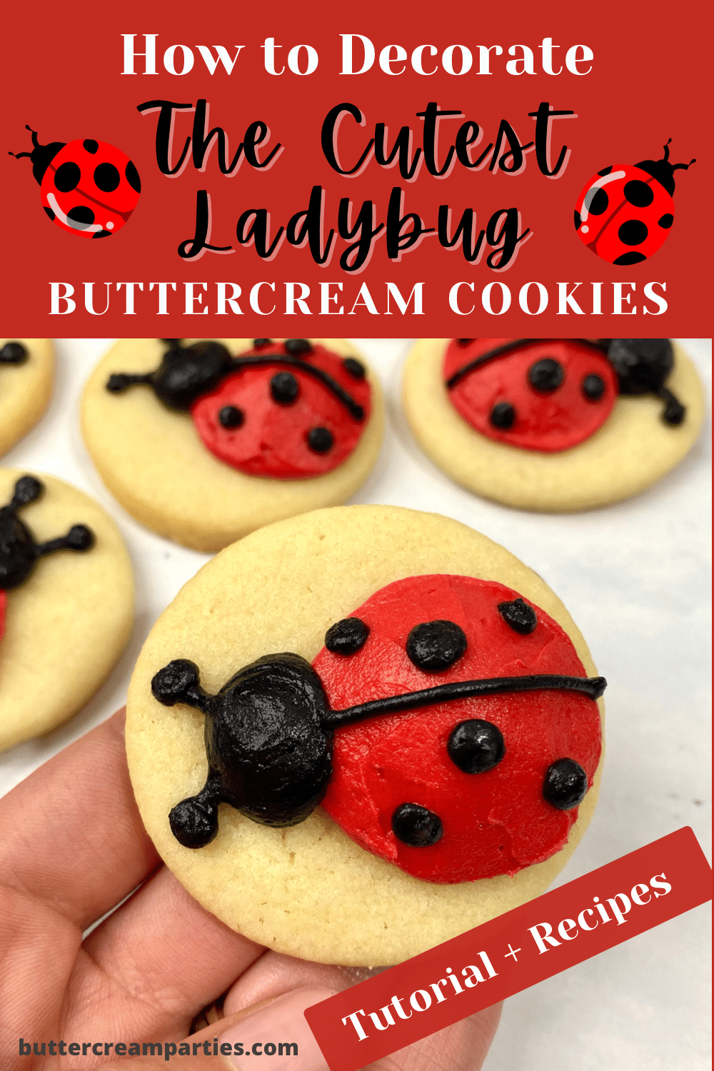 How to Decorate Cute Ladybug Cookies with Buttercream